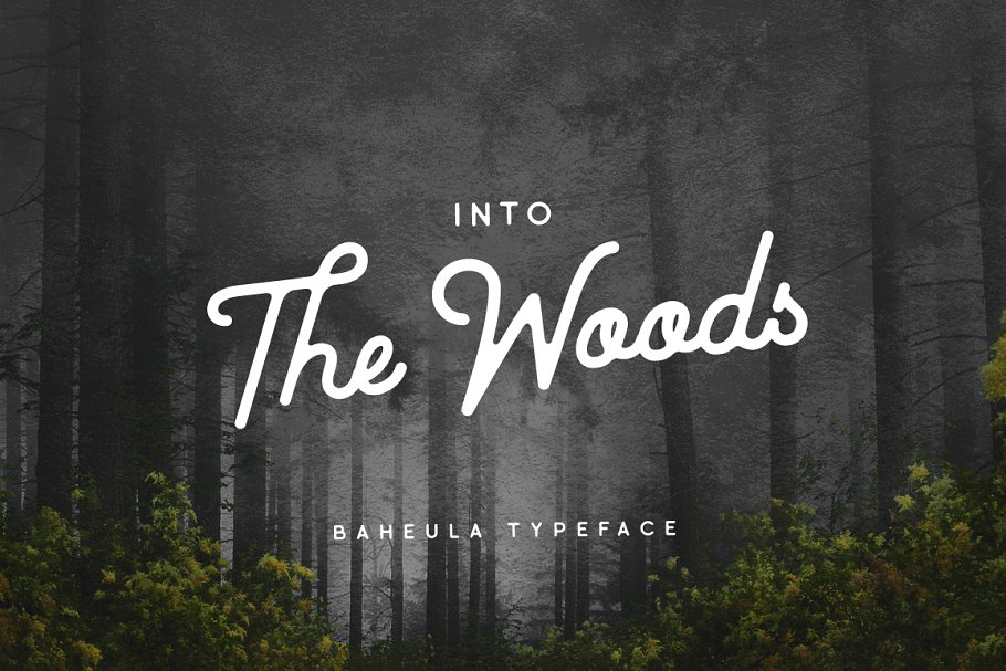10 Font Trends For Photography Projects - Blog - FontPlanet